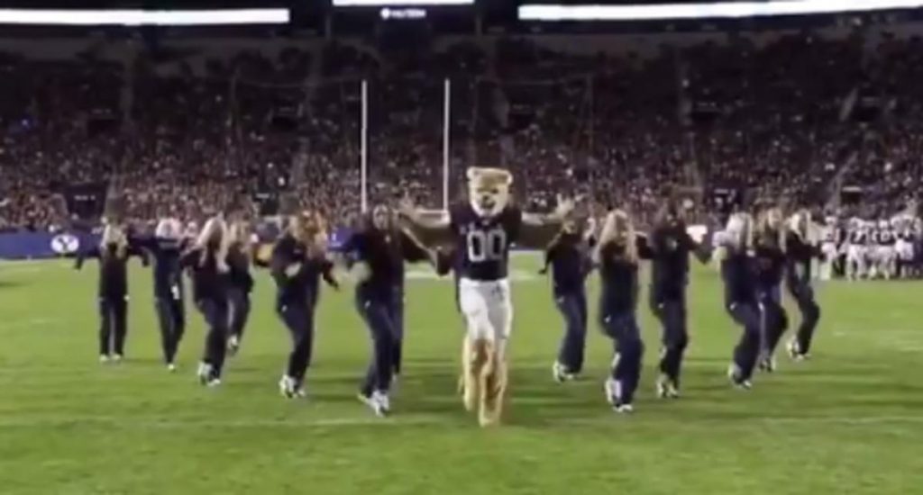 Cosmo Goes Viral! BYU Mascot wins the internet with dance moves. – SVI-NEWS
