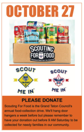 SCOUTING FOR FOOD DRIVE – SVI-NEWS