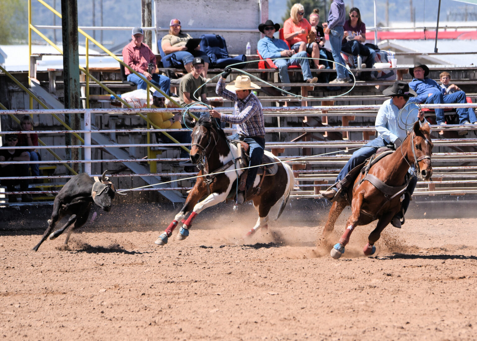 High school rodeo results from May 2 & 3 in Grace, ID – SVI-NEWS