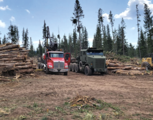 Wyoming Forestry teams up with Forest Service for Good Neighbor ...